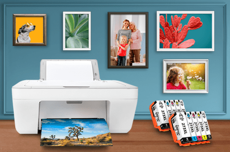 Professional Photo Printing at Home: What Printer and Cartridges to Use